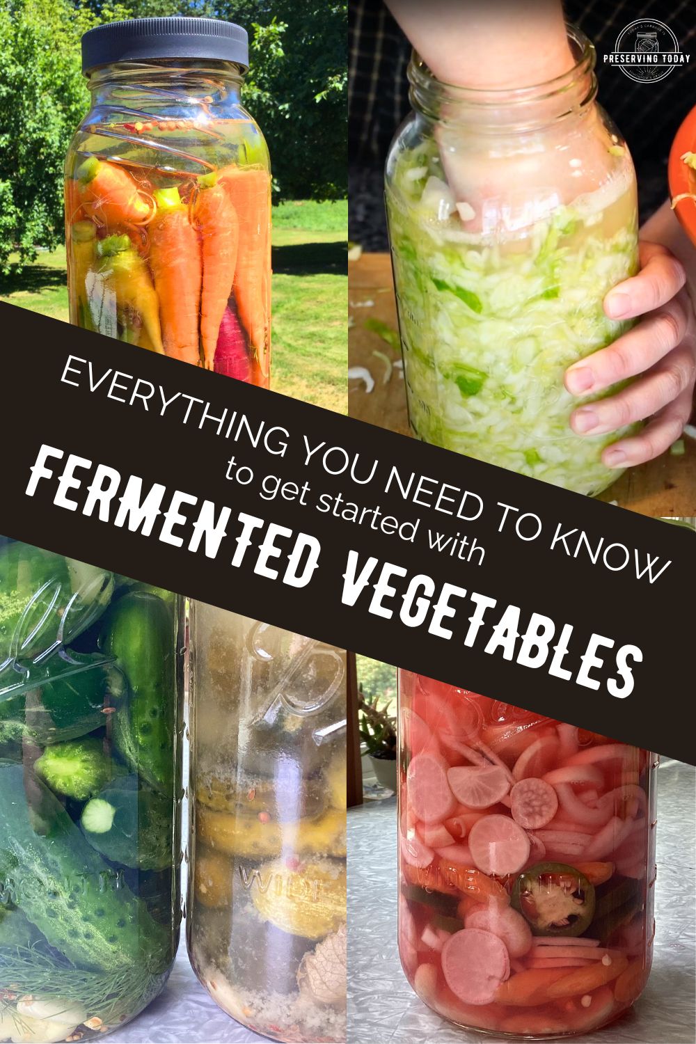 Everything You Need to Know to Get Started with Fermented Vegetables ...