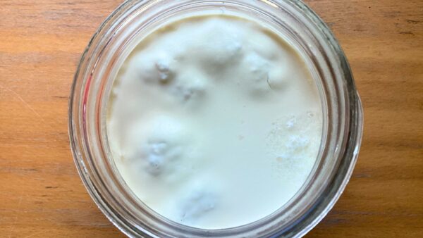 Raw Kefir: Better Than Yogurt and Easier to Make - PRESERVING TODAY