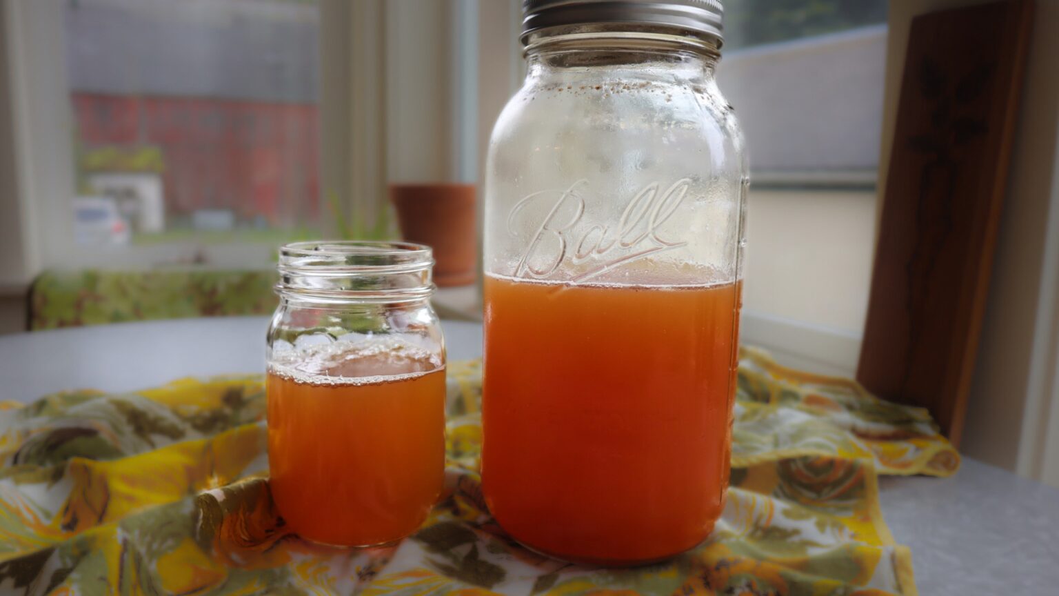 Make This Simple Fermented Sparkling Apple Cider | Zero Effort - PRESERVING TODAY
