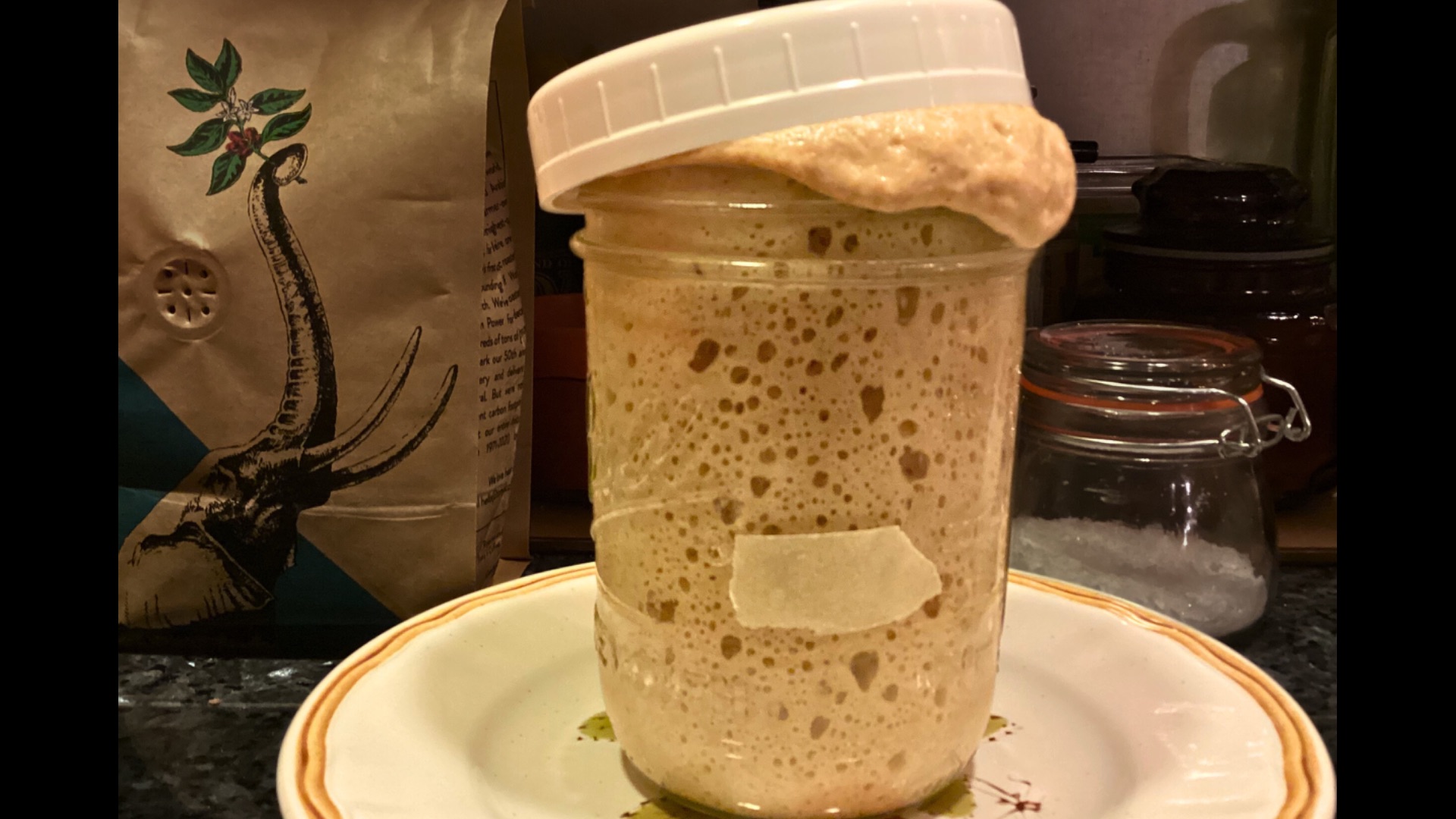 Understanding Sourdough Starter Feeding Ratios - PRESERVING TODAY