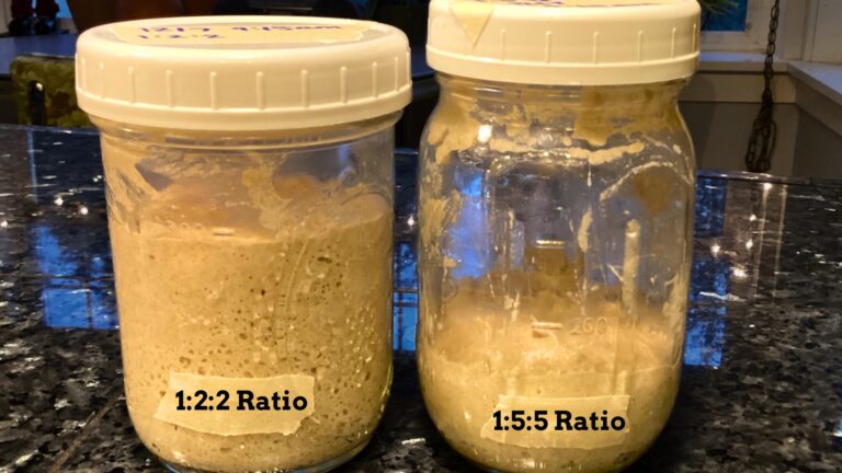 Understanding Sourdough Starter Feeding Ratios - PRESERVING TODAY